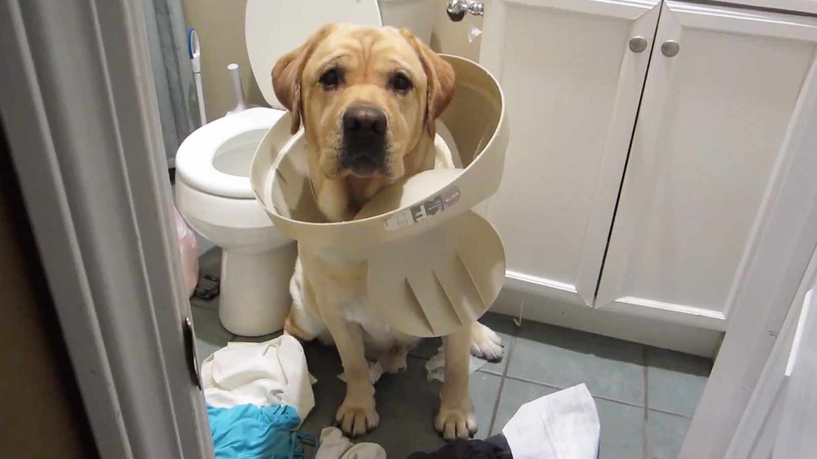 Live Video Transmuxing/Transcoding: FFmpeg vs TwitchTranscoder, Part I